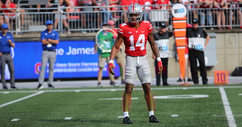 Ohio State: Ronnie Hickman emerging, done surprising on Buckeyes defense