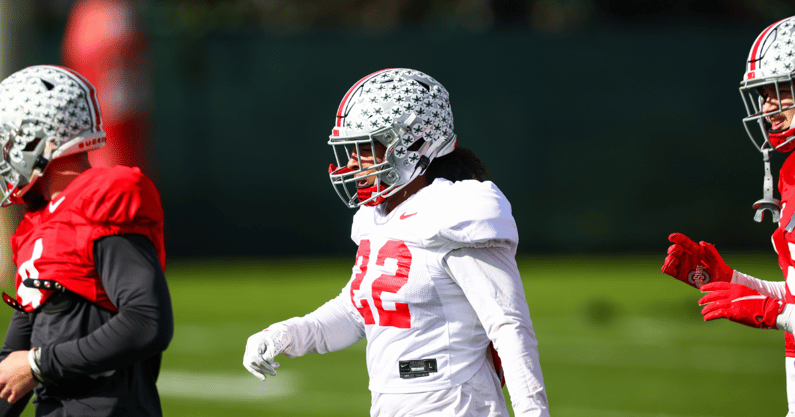 Ohio State defender Steele Chambers doing offseason chores