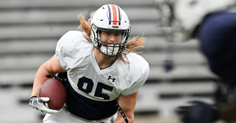 Auburn spring football preview: The tight ends