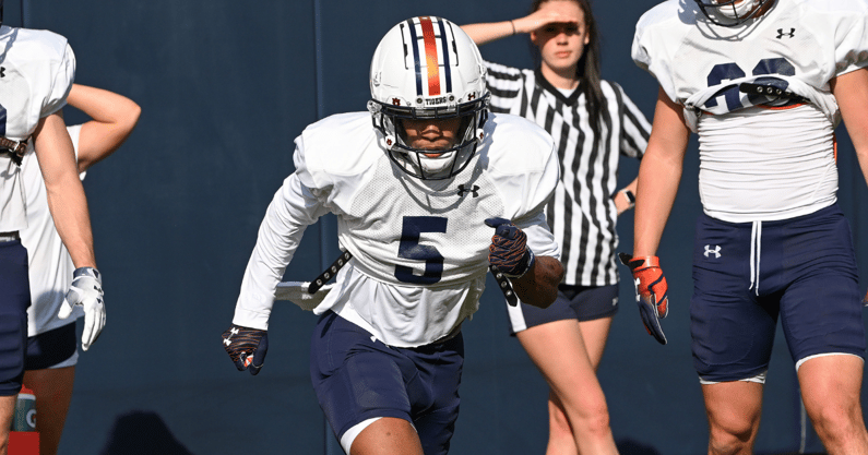 What can Auburn football expect from the freshmen?