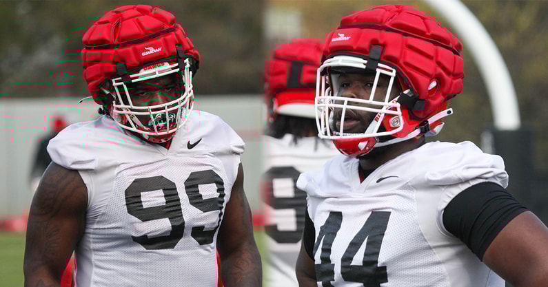New wave of Georgia defensive line talent exciting to teammates this spring