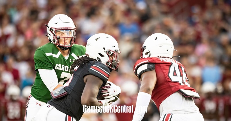 Details you may have missed in the South Carolina spring game