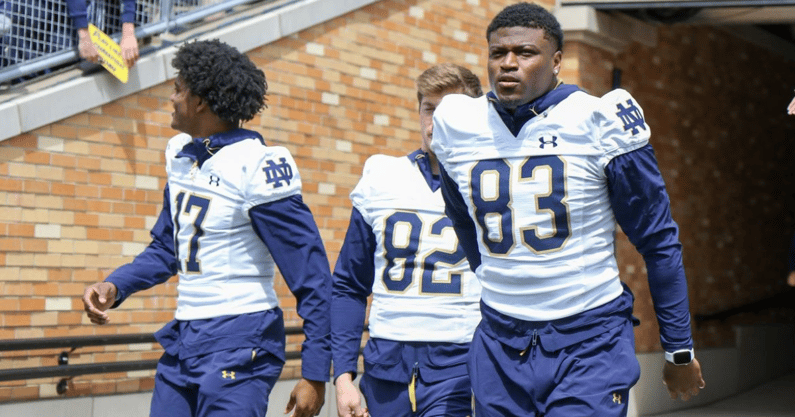 Who was injured for the Notre Dame football Blue-Gold Game?