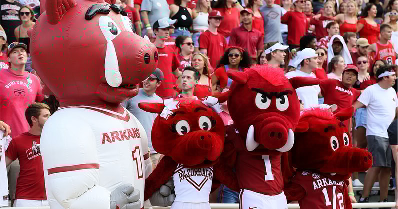 EA Sports ranks Arkansas Donald W. Reynolds Razorback Stadium as No. 23 ...