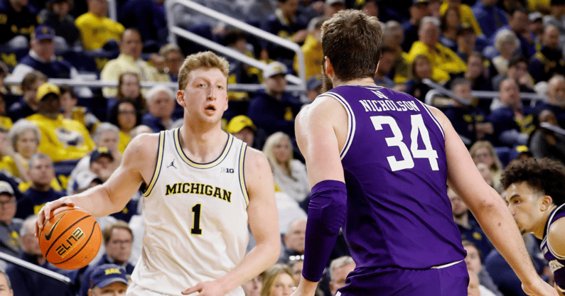 Michigan bball store