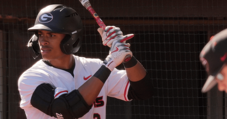 Ryan Black hits walk-off homer to lift Georgia past FGCU - On3