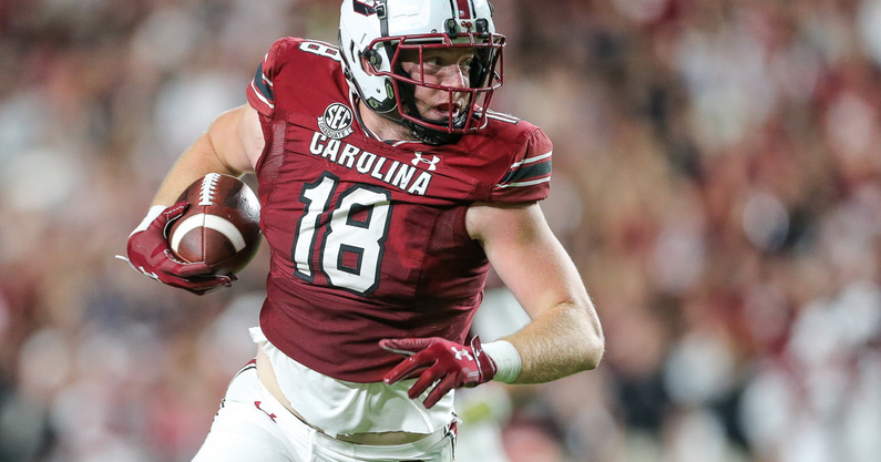 WATCH: Austin Stogner catches first touchdown pass in South Carolina ...