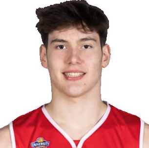 David Mirkovic - Illinois Fighting Illini - Power Forward