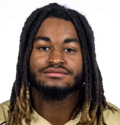 Jordan Boyd - Georgia Tech Yellow Jackets - Defensive Line