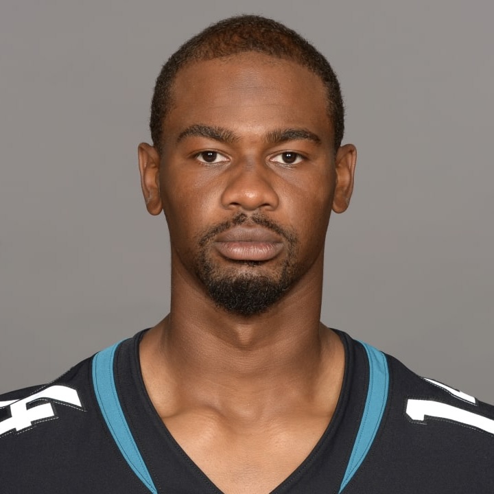 Terry Godwin - Carolina Panthers - Wide Receiver