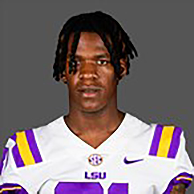 Cameron Lewis - LSU Tigers - Safety