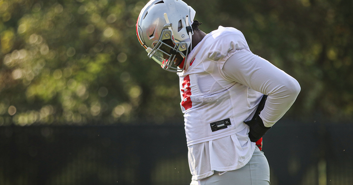 Zach Harrison: Ohio State junior making noise on, off field as new captain