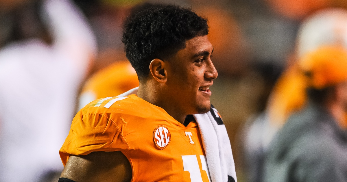 Henry To'o To'o has been big addition for Alabama's defense - On3