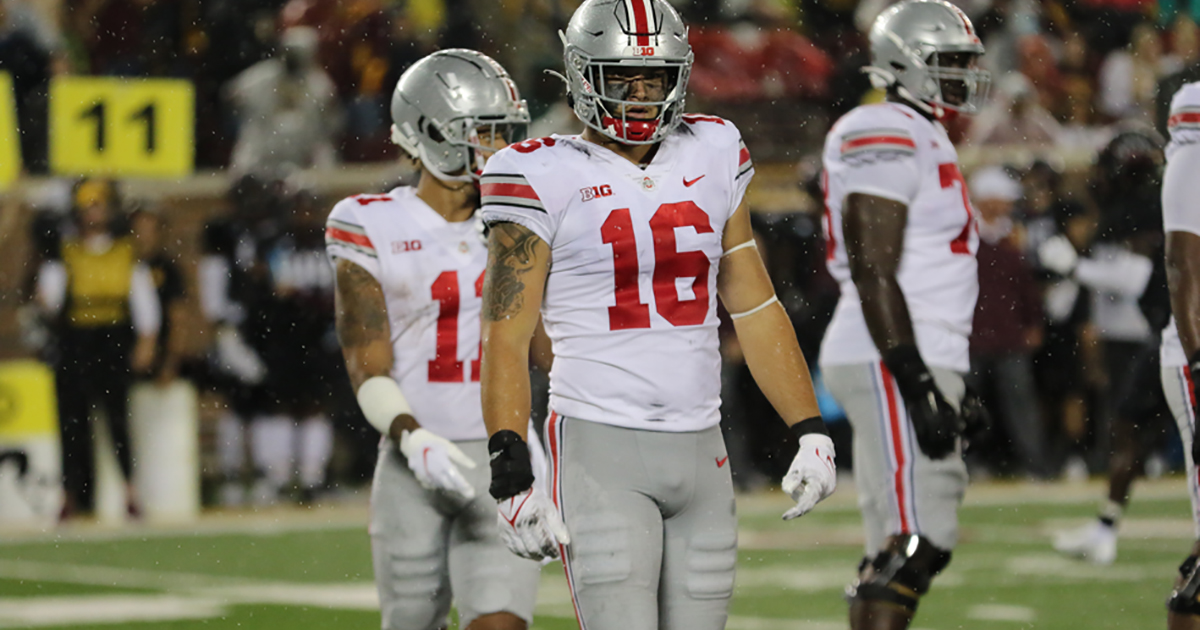 Ohio State: Projecting Buckeyes tight end depth chart, usage