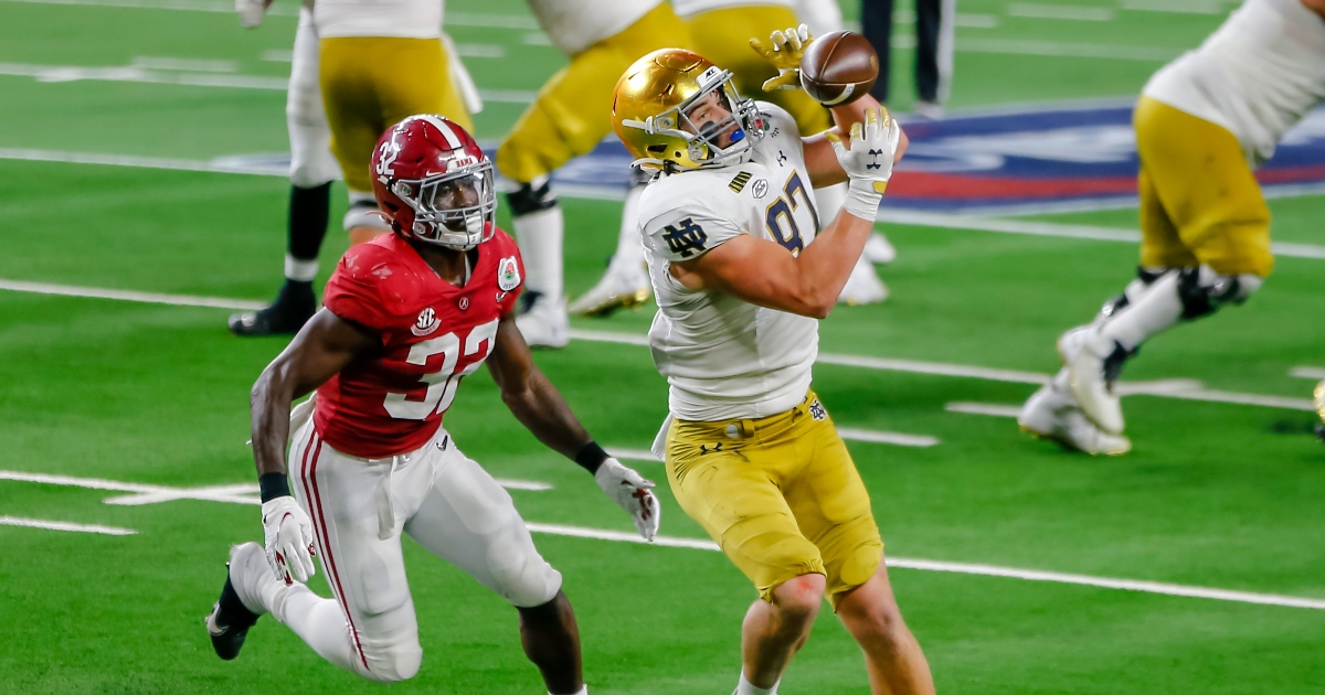 WATCH: Notre Dame tight end Michael Mayer scores first touchdown of ...