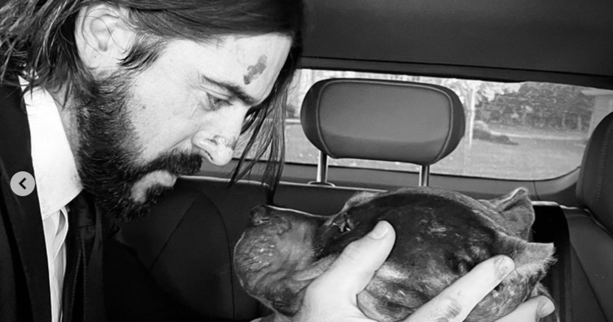 LOOK: Aaron Rodgers reveals epic Halloween costume - On3