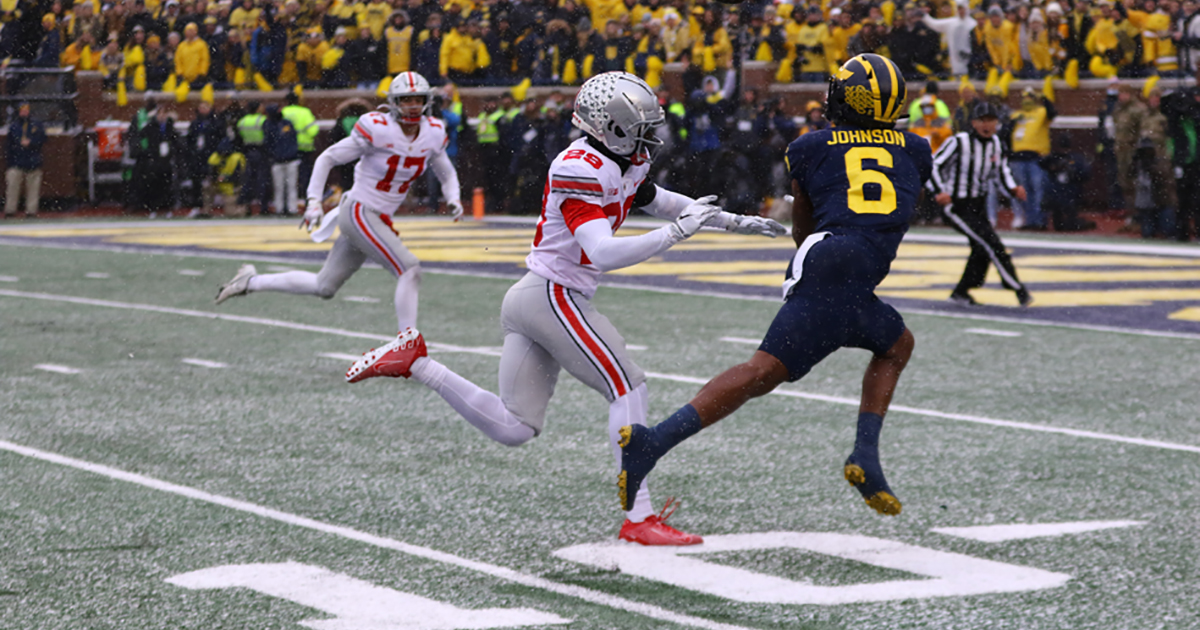 Michigan football: Cornelius Johnson talks WR depth, Darrius Clemons