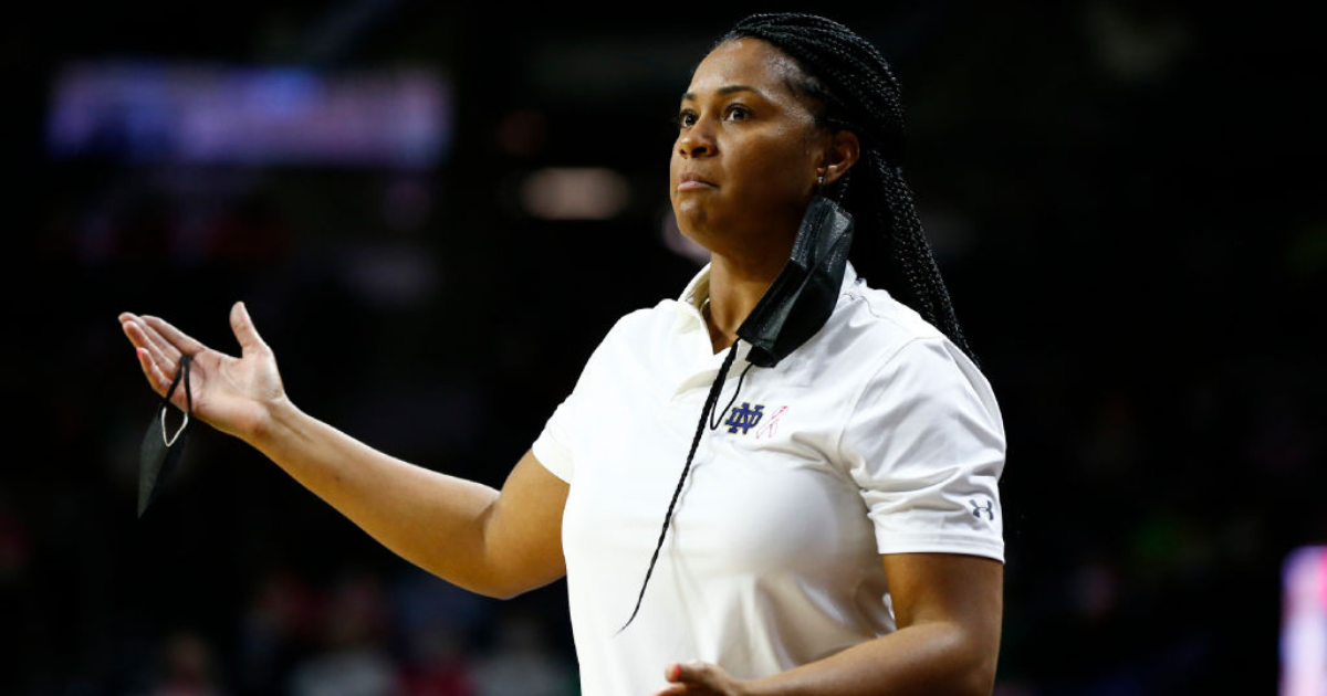 What Notre Dame women's basketball transfers mean for Niele Ivey, Irish