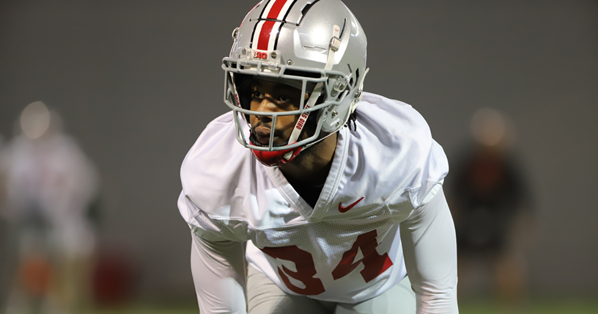 Ohio State: Reserve safety Andre Turrentine commits to Tennessee