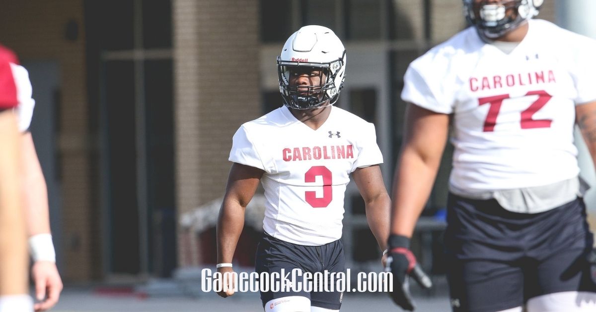 Sam Reynolds latest South Carolina football player to enter transfer portal