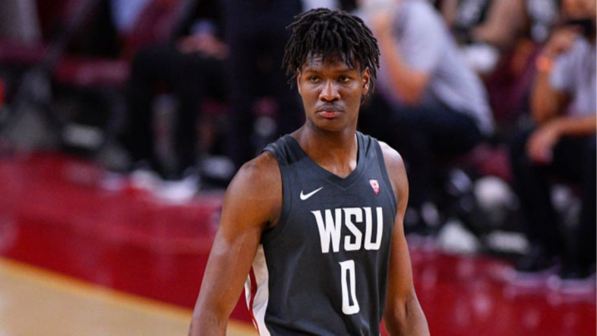 Washington State transfer Efe Abogidi includes Gators in top four - On3