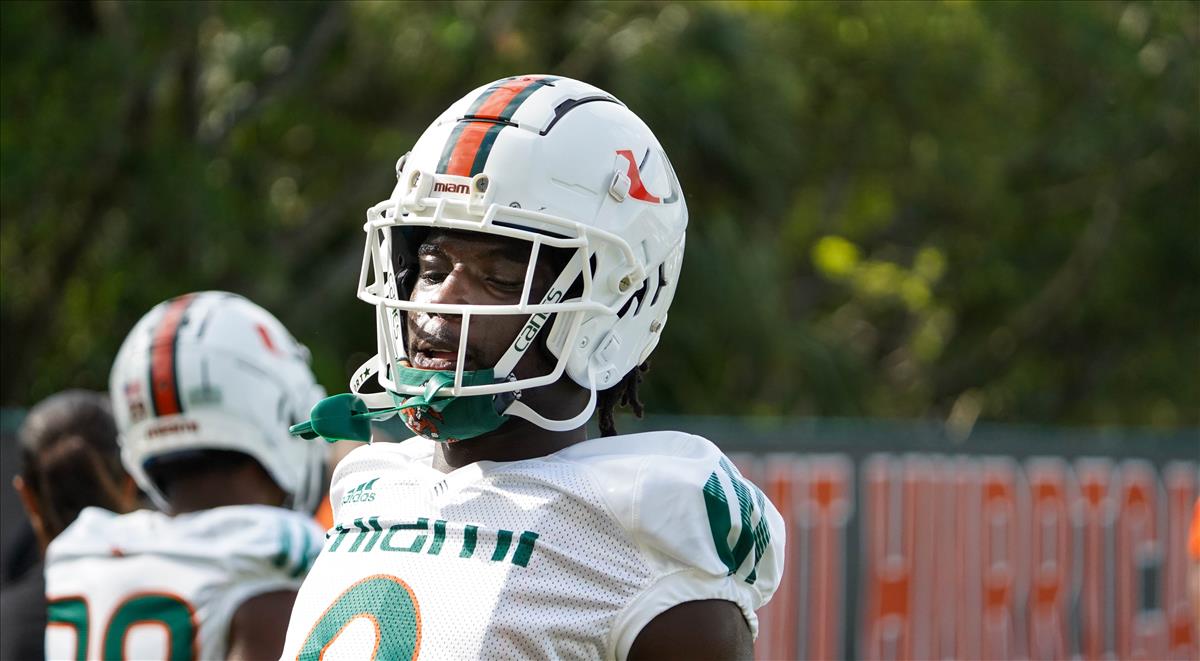 James Williams a versatile playmaker in Kevin Steele's defense