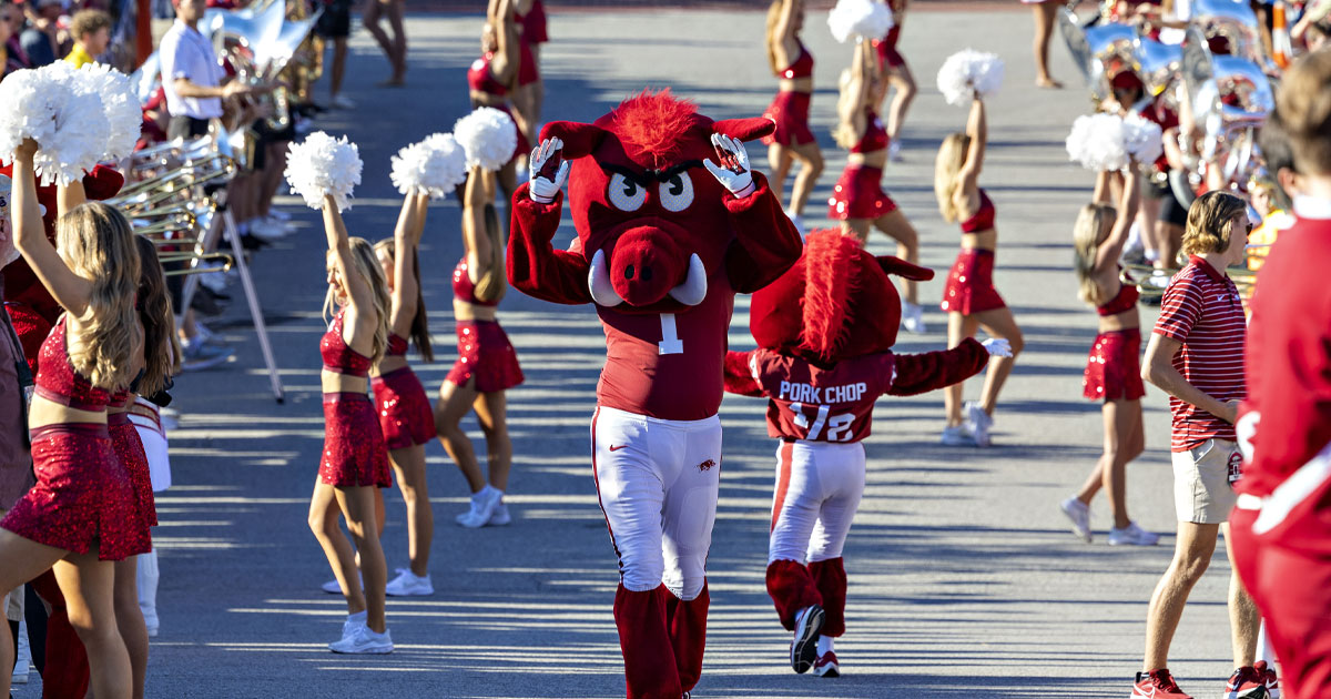Arkansas trolls South Carolina mascot following home win - On3