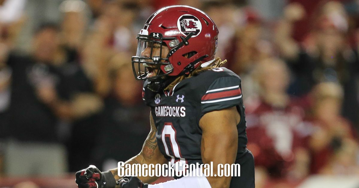 South Carolina football: Debo Williams, Stone Blanton in new roles