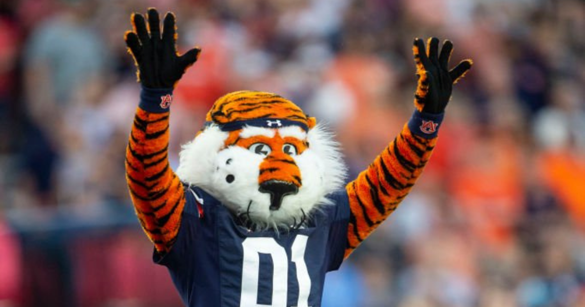 Paul Finebaum addresses where things went wrong for Auburn - On3 Paul Finebaum addresses where things went wrong for Auburn - On3