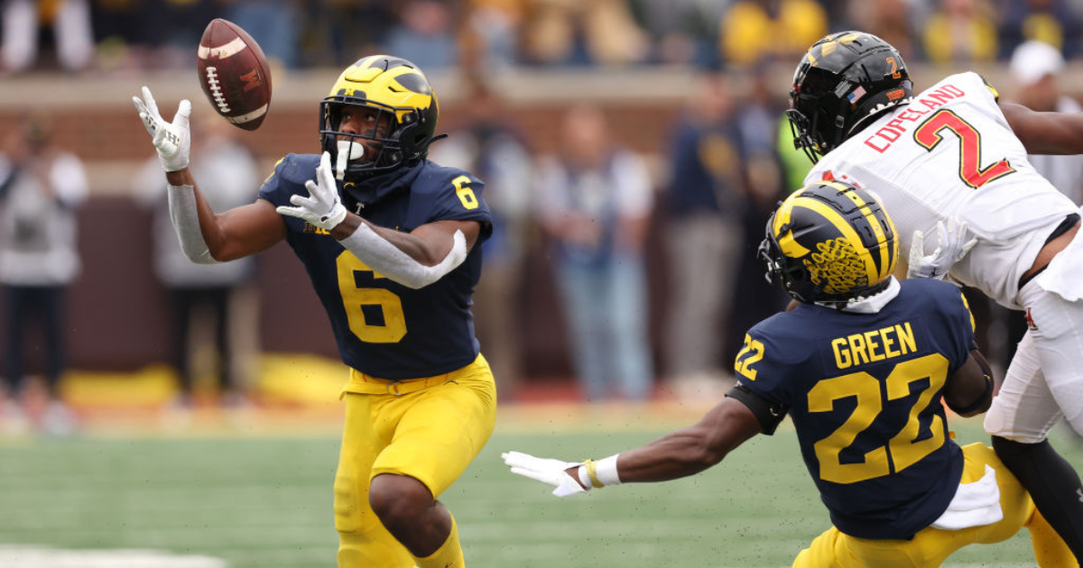 Michigan safety R.J. Moten hits the transfer portal - On3