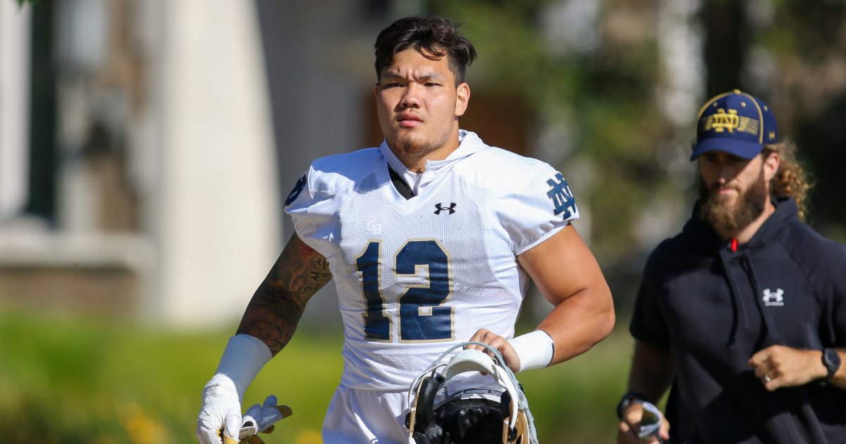 Analyzing every snap of Notre Dame LB/DE Jordan Botelho vs. Clemson