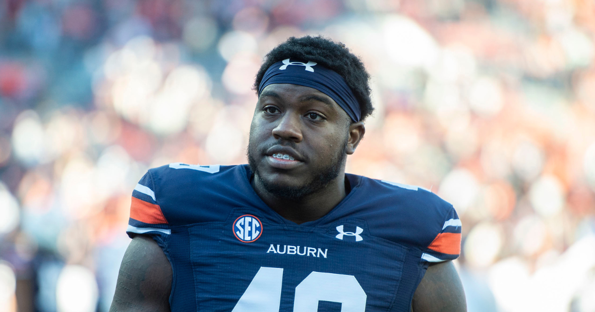 Michigan State adds Liberty DT Dre Butler on signing day - On3