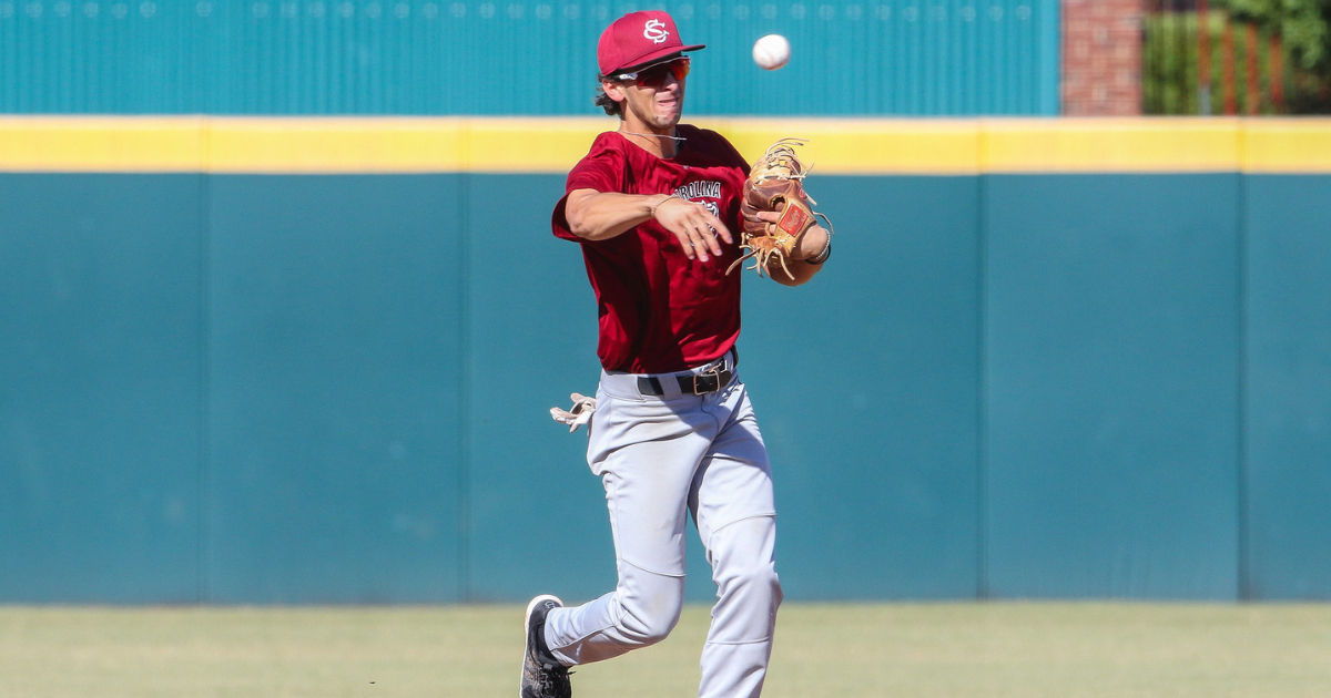 Will Tippett could be 'super utility' player for South Carolina baseball