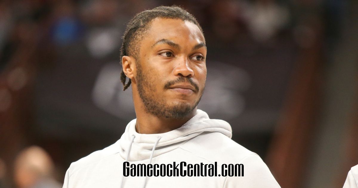 Josh Simon offers interesting description for South Carolina offense