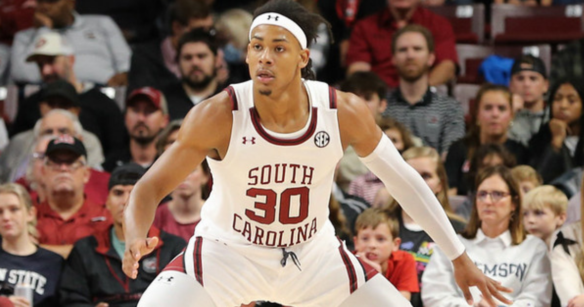 South Carolina freshman wing enters transfer portal