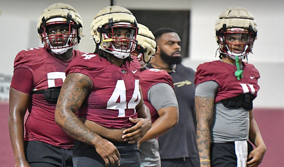 Florida State DT Joshua Farmer -- Transfer Portal Insider