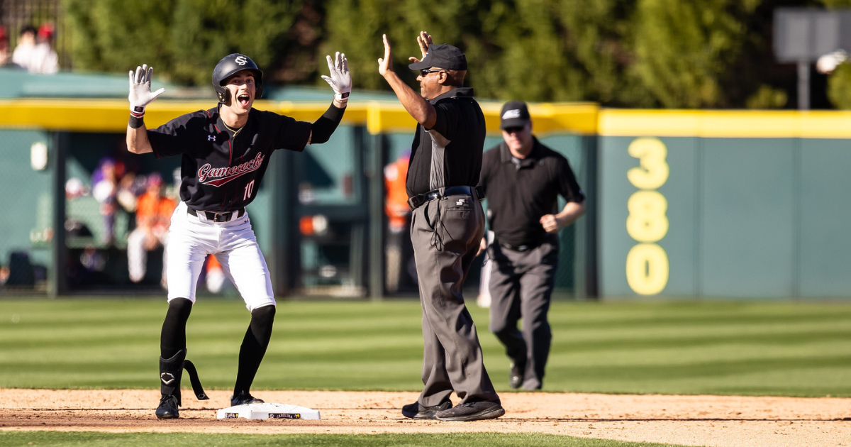 Dylan Brewer making the most of opportunity with Gamecocks