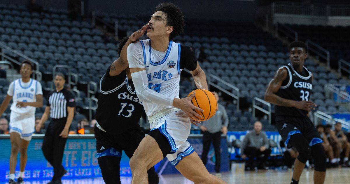 D2 transfer RJ Sunahara commits to Georgia Bulldogs - On3