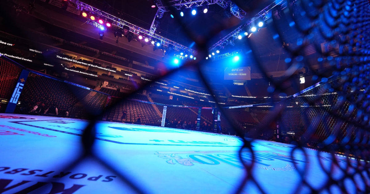 MMA fighter knocks opponent through octagon door