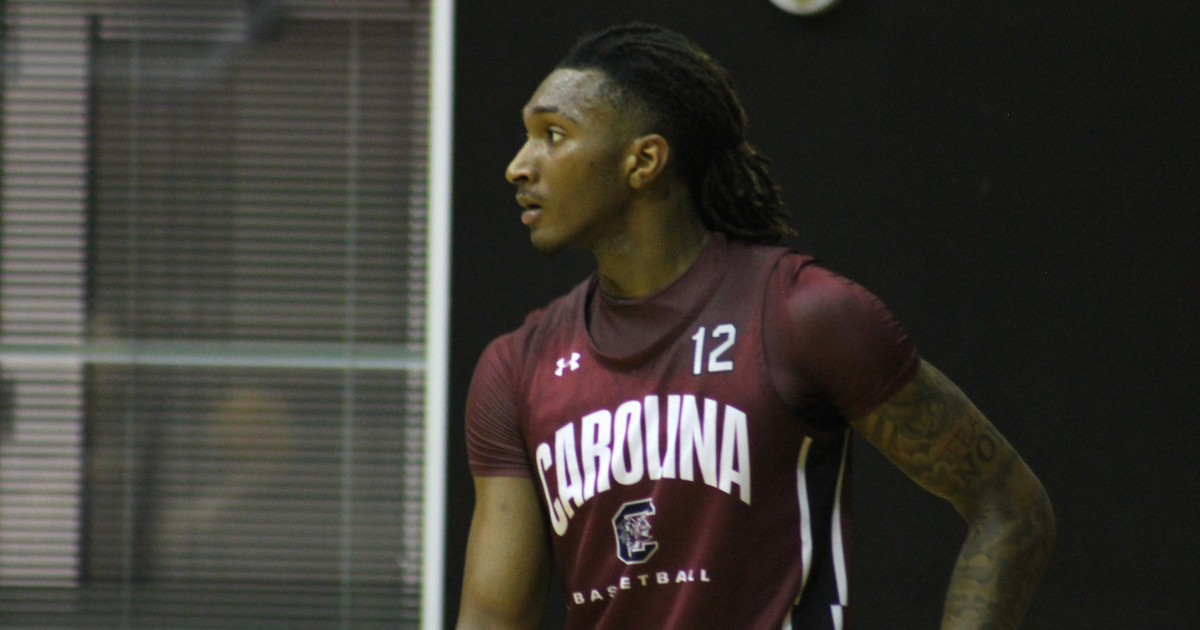 South Carolina wing Zach Davis impressing before sophomore year