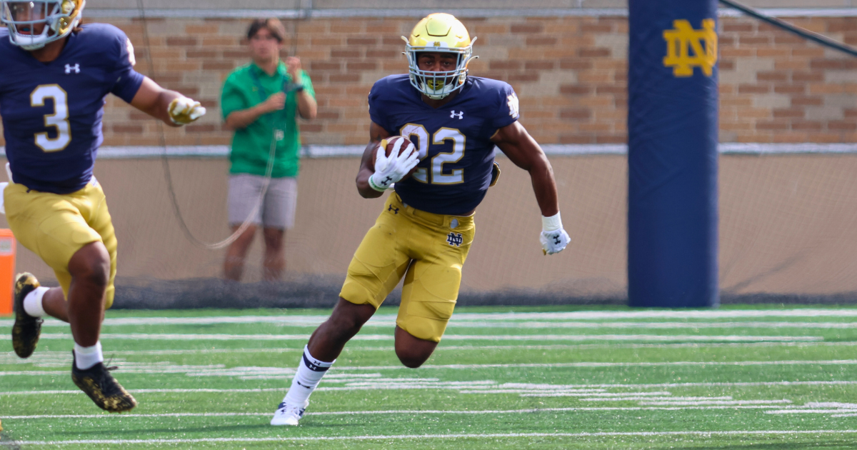 Notre Dame's top five special teams players in 2023 per PFF