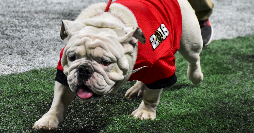 Georgia mascot Uga X passes away at age of 10