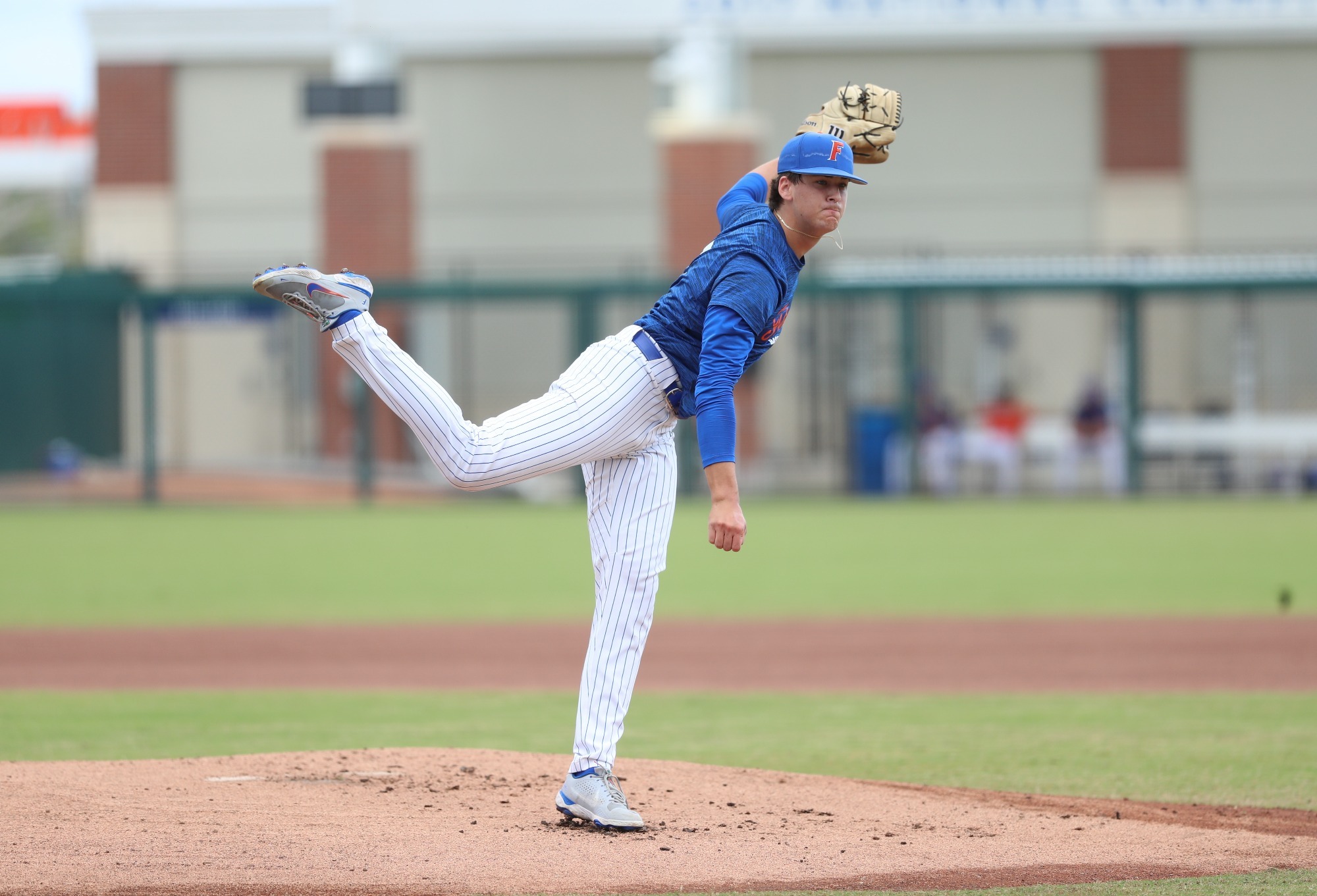 Get to know Florida Gators freshman Liam Peterson