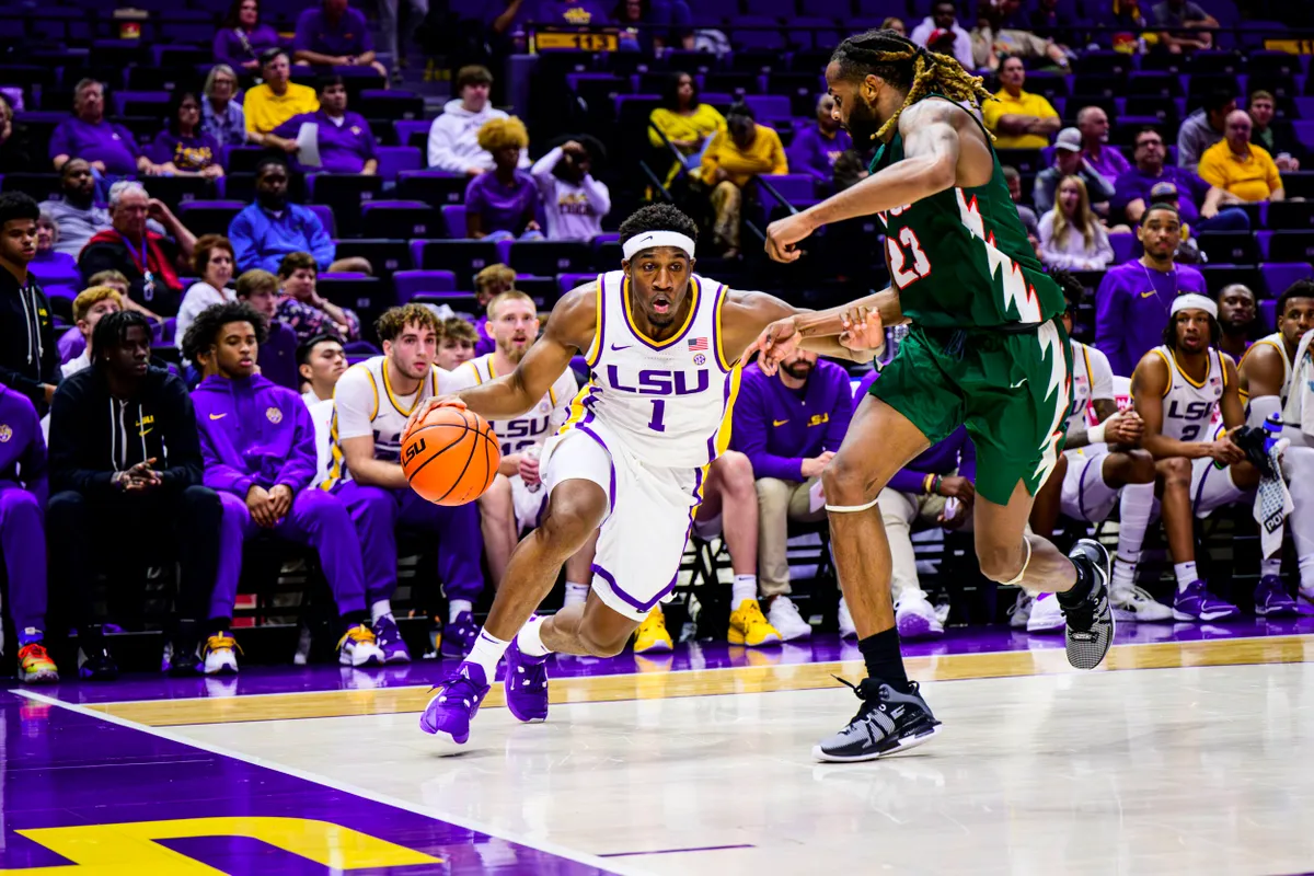 LSU guard Carlos Stewart enters NCAA transfer portal - On3