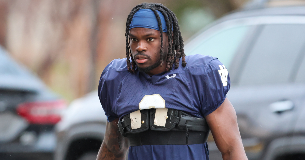 Which Notre Dame football players were injured during the spring?