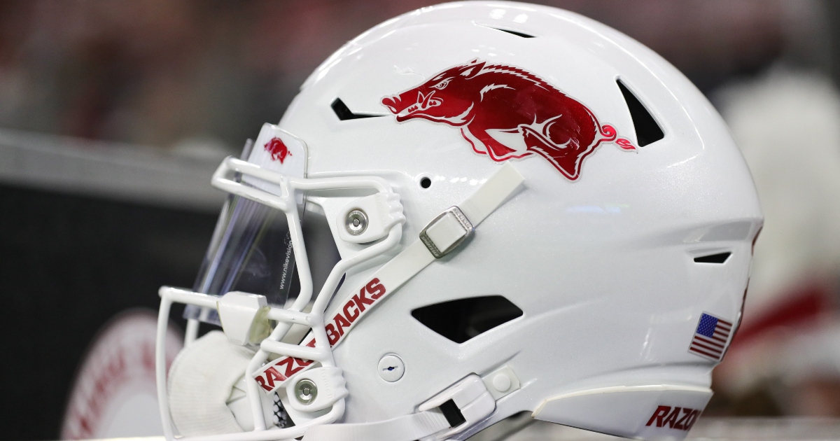 Arkansas tight end Luke Hasz plans to enter NCAA transfer portal - On3
