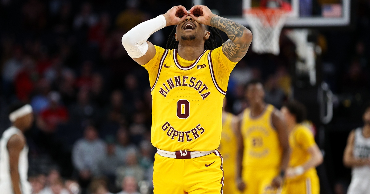 Minnesota transfer point guard Elijah Hawkins commits to Texas Tech - On3