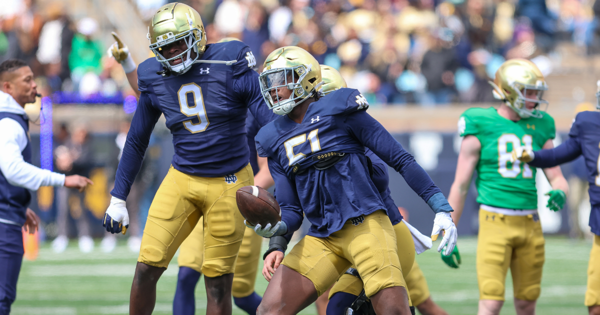 Analysis of College Football 25 ratings for every Notre Dame player on defense
