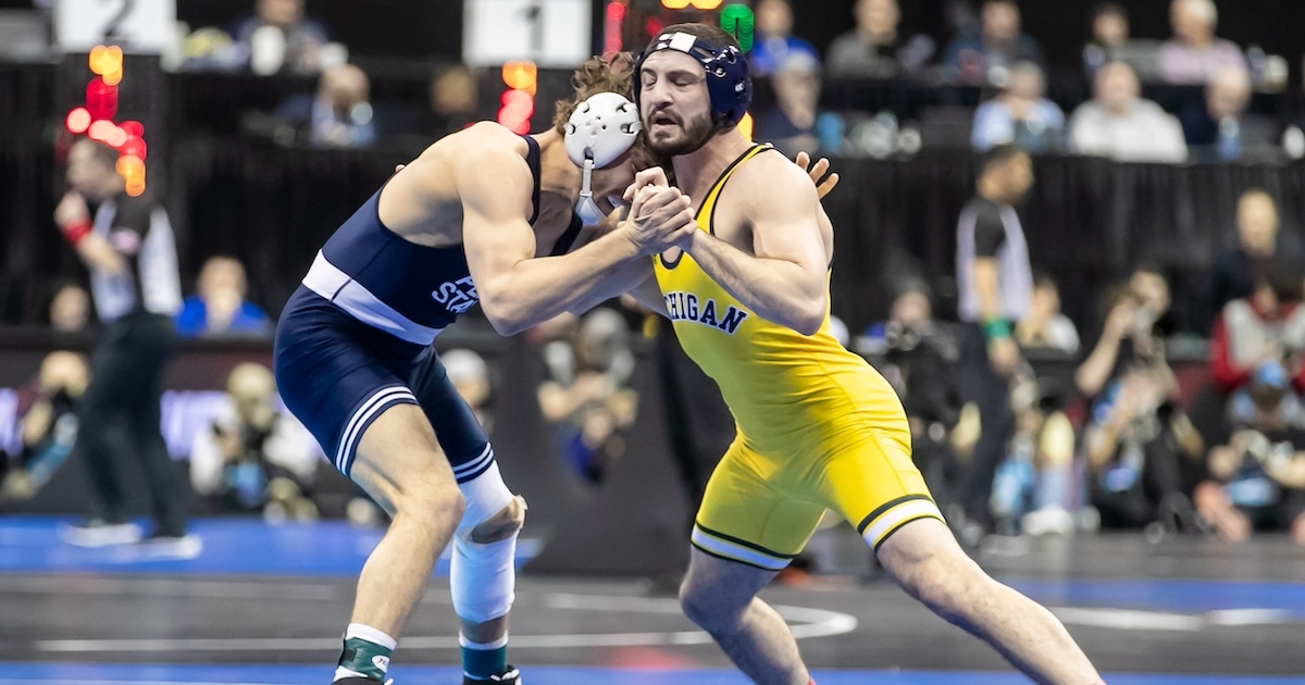 Michigan wrestling All-American Cameron Amine enters NCAA transfer ...