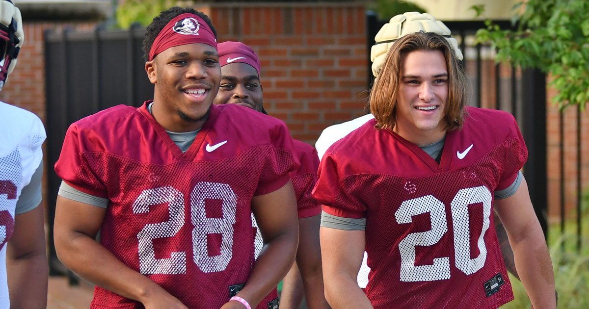 Florida State's deep LB rotation has Norvell, Shannon enthused